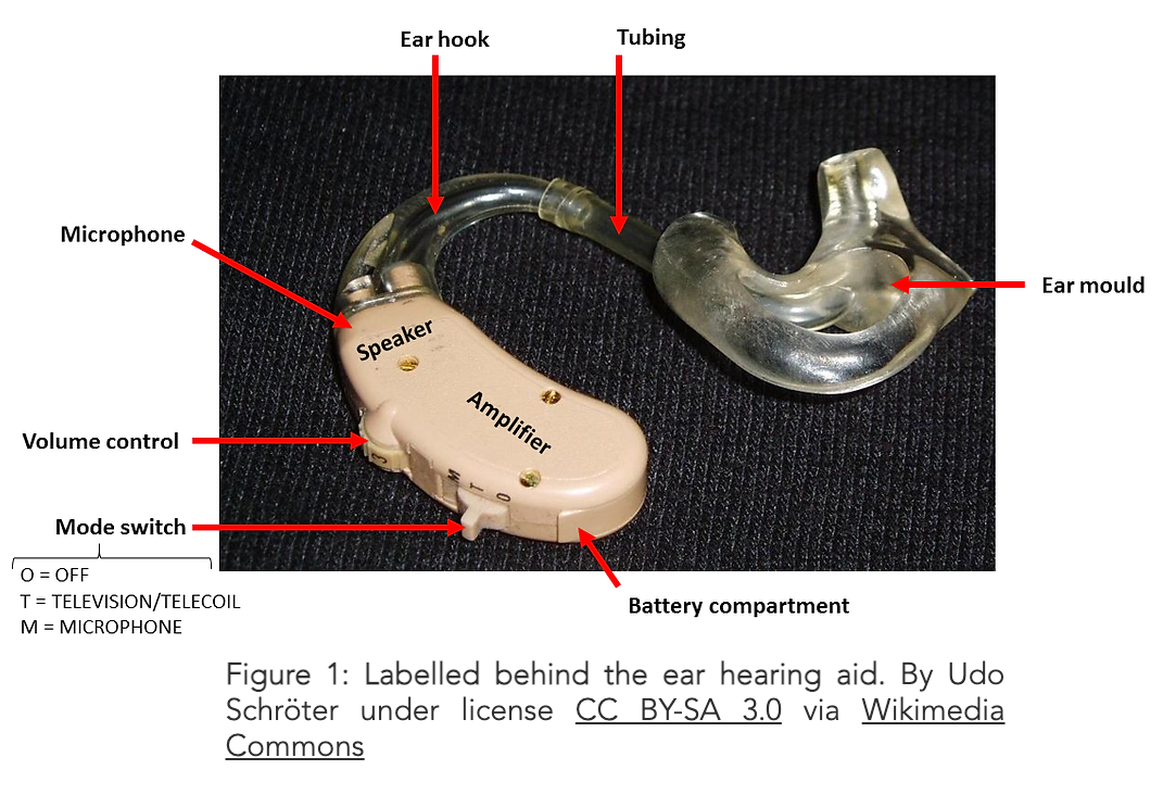 Hearing Aid